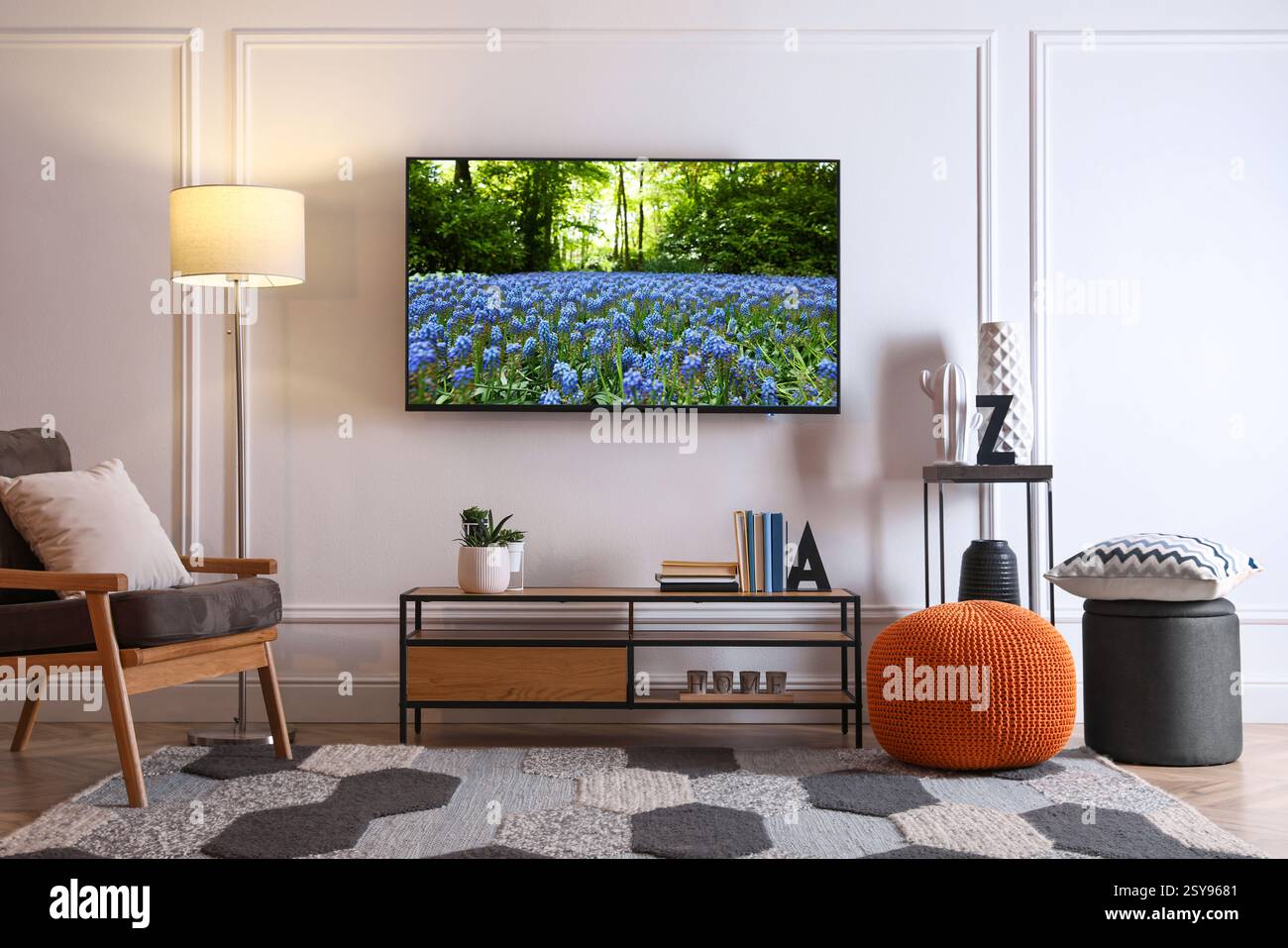 TV set with nature landscape on screen in room Stock Photo - Alamy