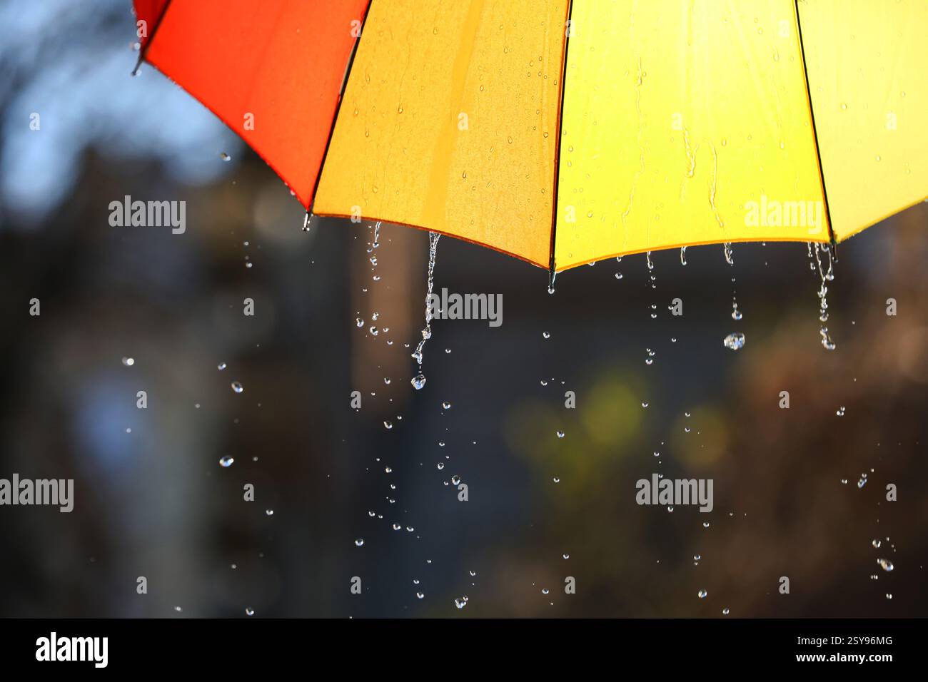 Open bright umbrella under pouring rain outdoors, closeup Stock Photo ...