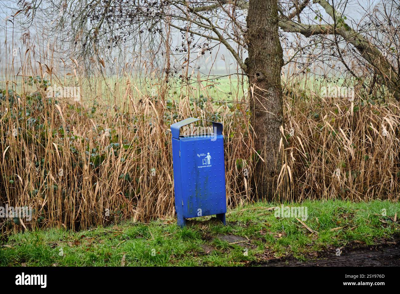January 16, 2025 - Hoogeveen, Netherlands: A blue litter bin stands ...