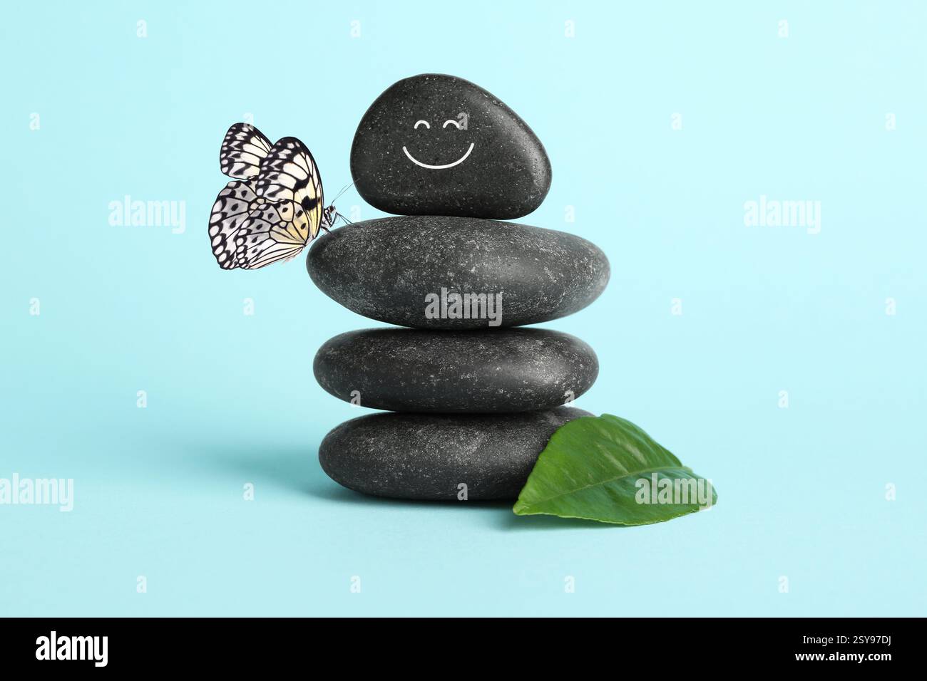 Happy stone glad to see butterfly, harmony. Stacked pebbles and one ...