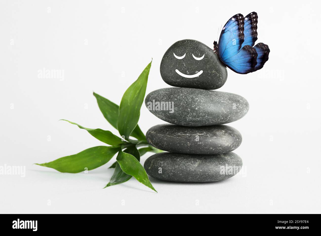 Butterfly on stone with smiling face, stack of pebbles and green branch ...