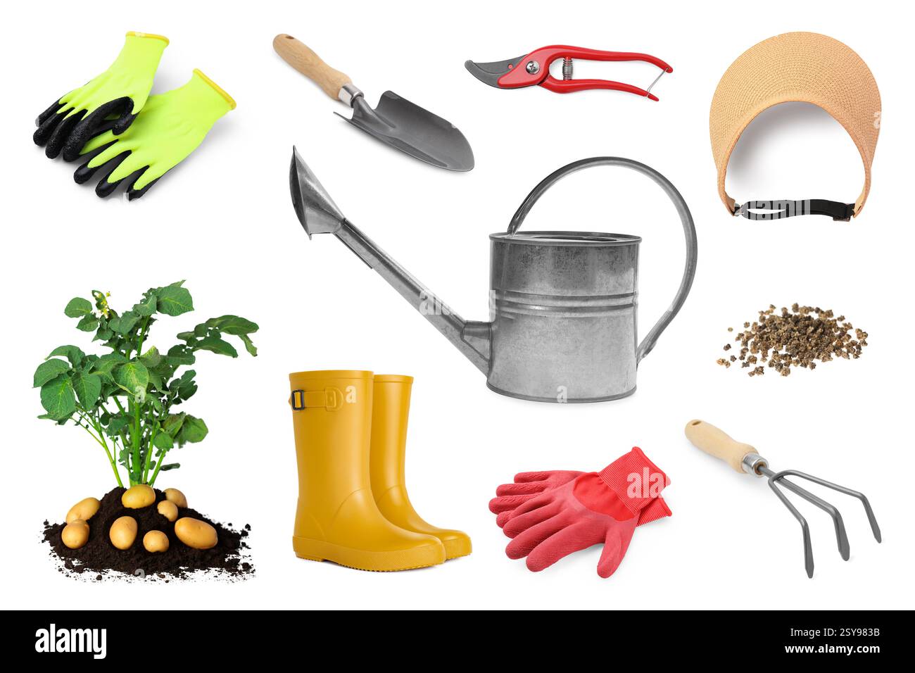 Set of different gardening tools and plant isolated on white Stock ...