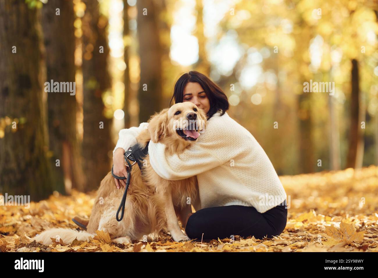 Embracing the animal. Woman is on the walk with her dog in the autumn ...