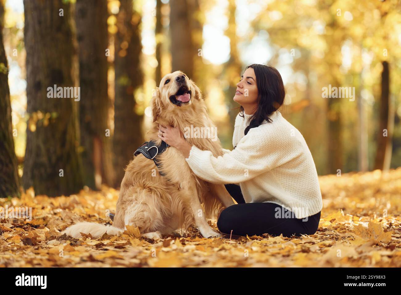 Embracing the animal. Woman is on the walk with her dog in the autumn ...