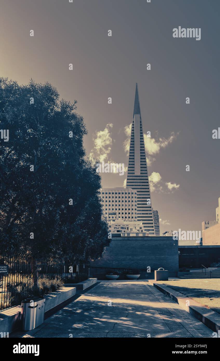 A low-angle shot captures the iconic Transamerica Pyramid in San ...