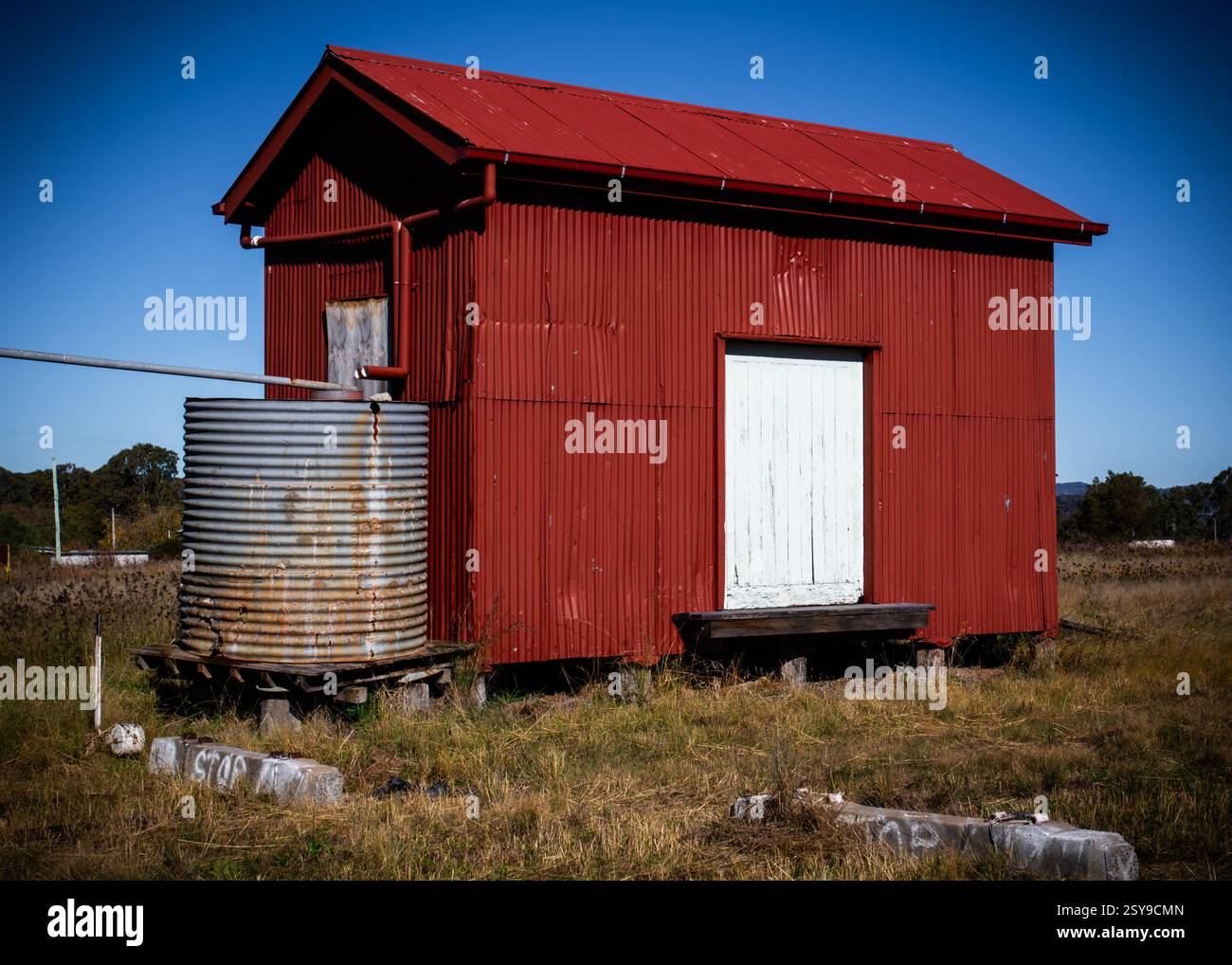 Flowers of the Darling Downs Stock Photo - Alamy