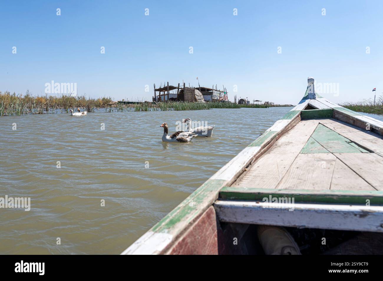 Boat trip in the Mesopotamian / Iraqi Marshes with the so called Marsh ...