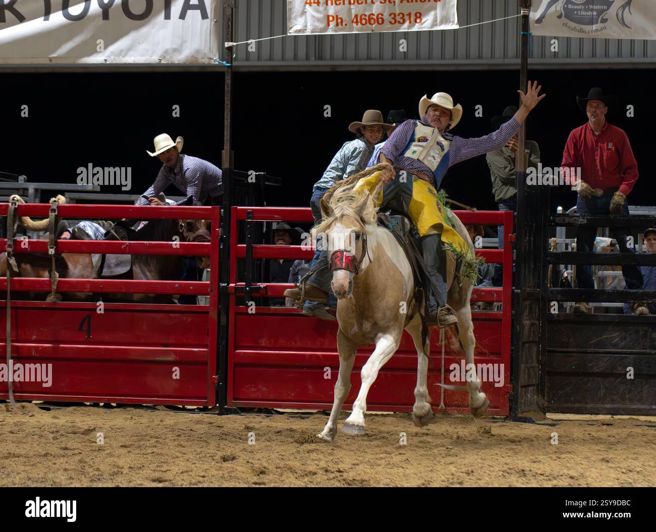 Man Riding Brumby at the 2025 Allora Show Stock Photo - Alamy