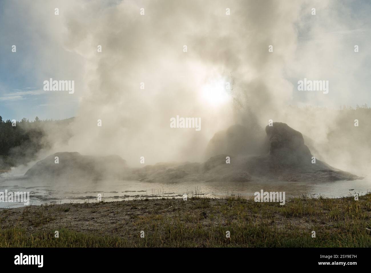 Grotto Geyser erupting in the Lower Geyser Basin of Yellowstone ...