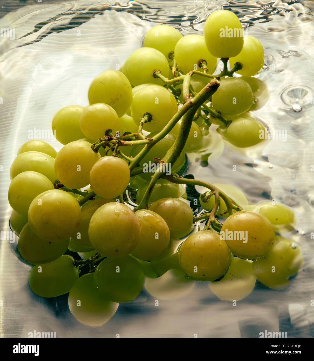 GREEN GRAPE IN THE FRESH WATER Stock Photo - Alamy