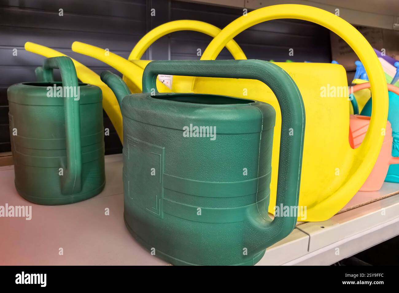 A vibrant display of garden watering cans in various colors, showcasing ...