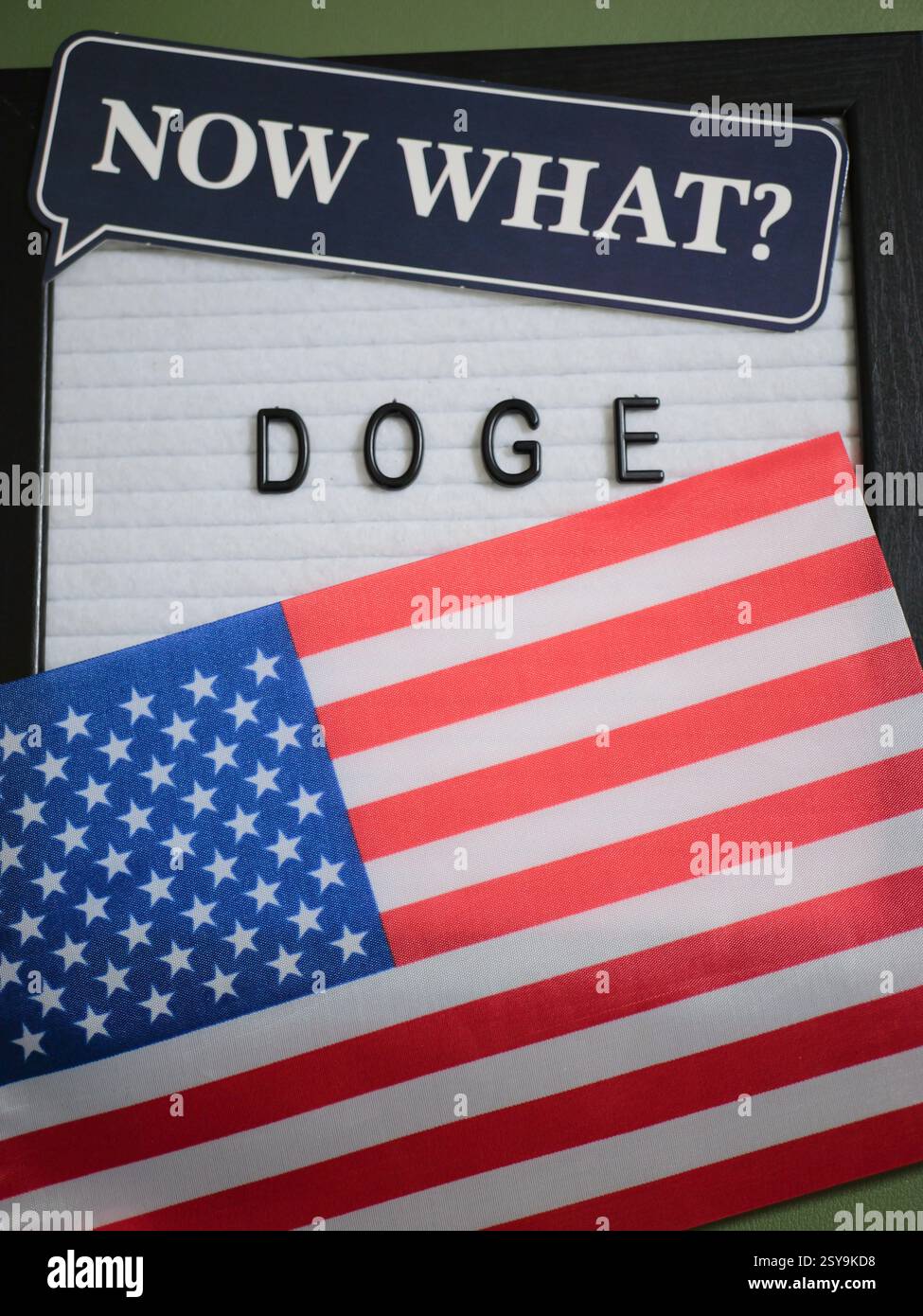 What is next for DOGE - Department of Government Efficiency Saving ...