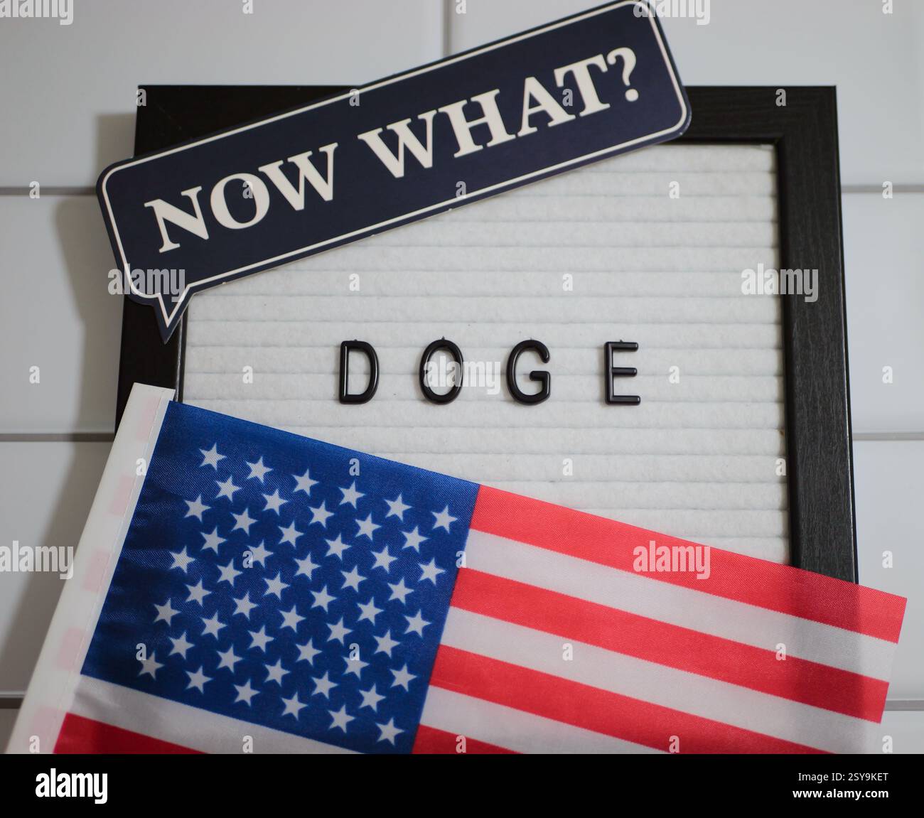 What is next for DOGE - Department of Government Efficiency Saving ...