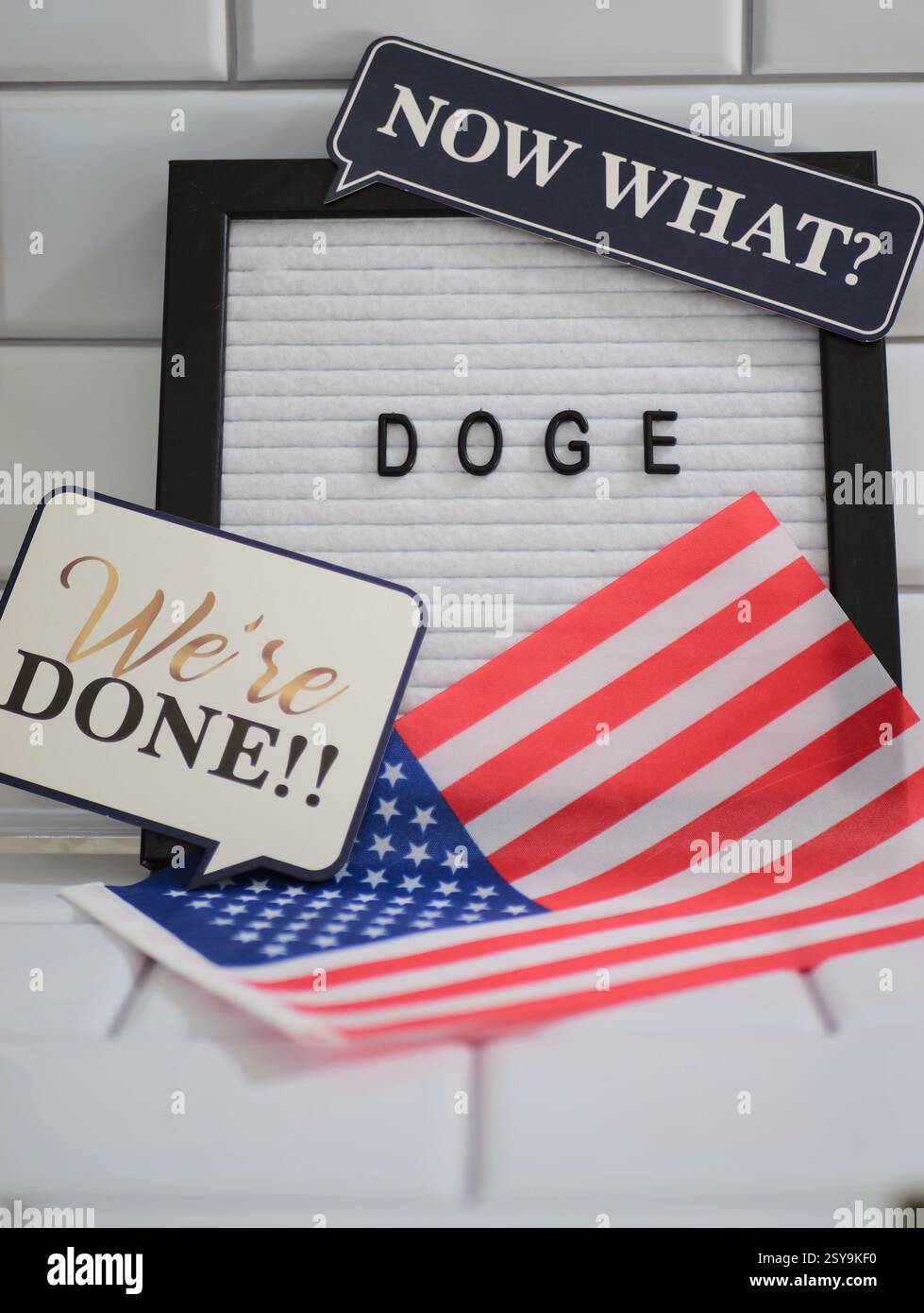 What is next for DOGE - Department of Government Efficiency Saving ...