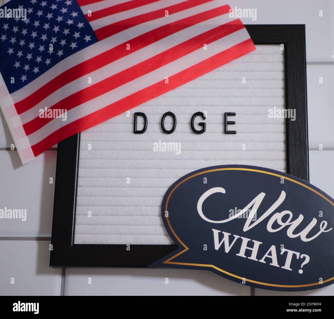 What is next for DOGE - Department of Government Efficiency Saving ...