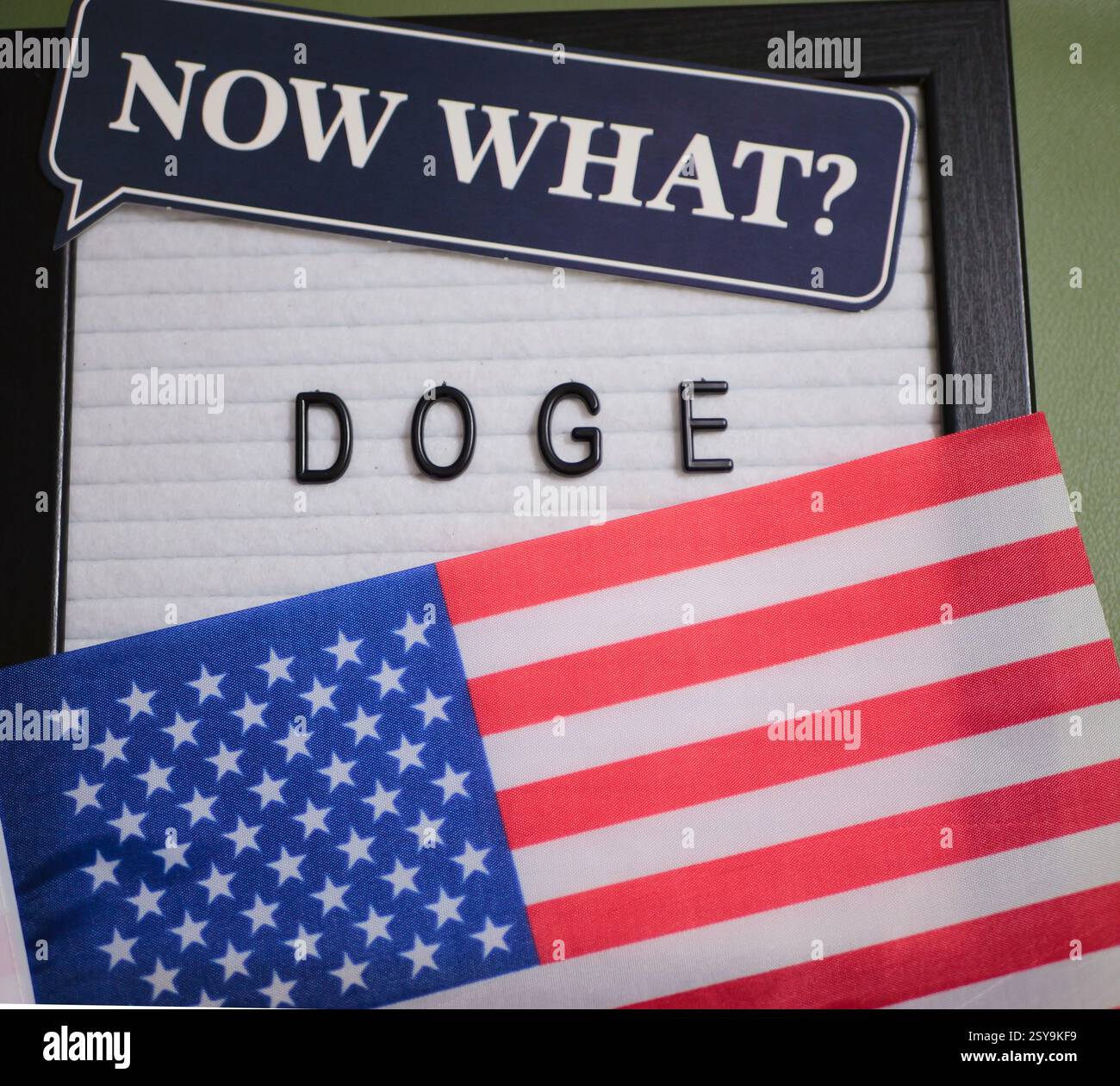 What is next for DOGE - Department of Government Efficiency Saving ...