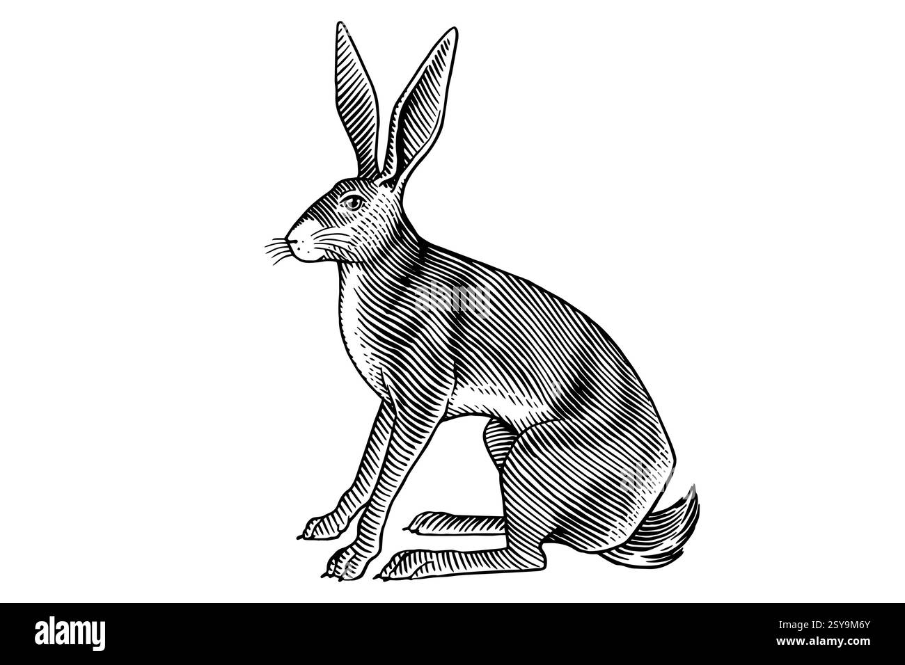 hares or rabbits sitting and jumping, in old vintage traditional style ...