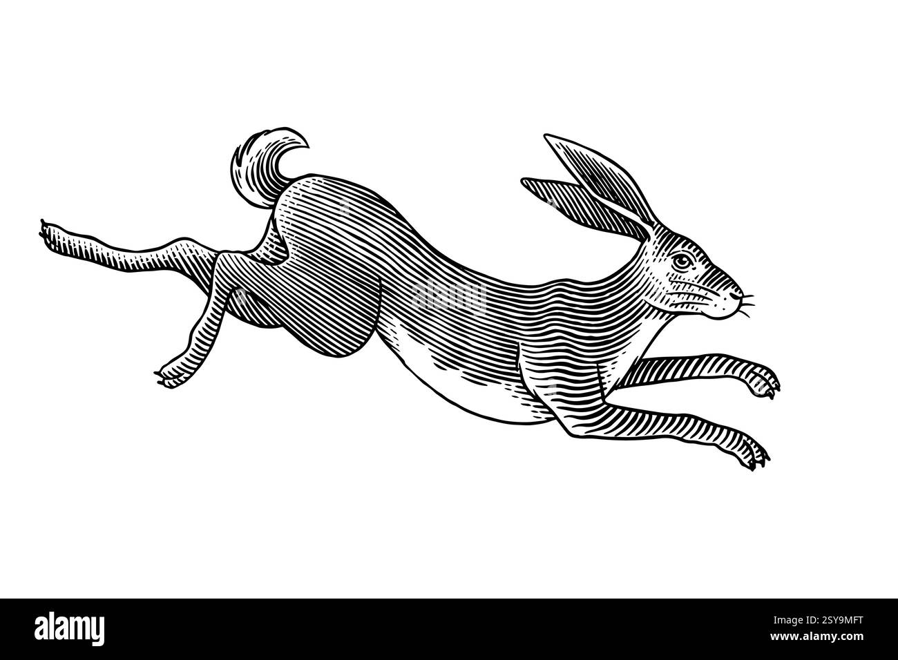 Hare or rabbit jumping. Wild animal running . Hand drawn or engraved ...