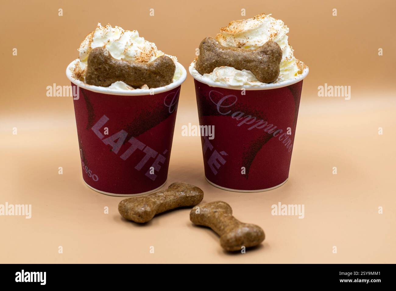 Two dog cups hi-res stock photography and images - Alamy