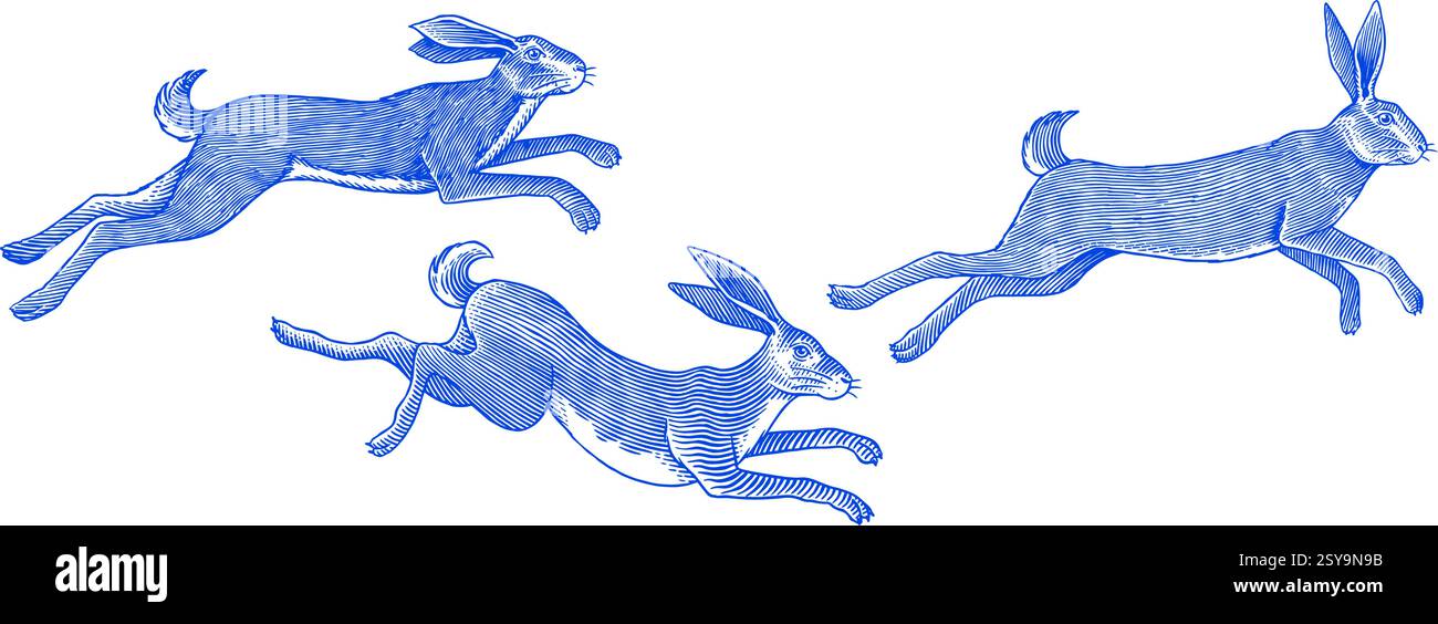 Hare or rabbit jumping. Wild animal running . Hand drawn or engraved ...
