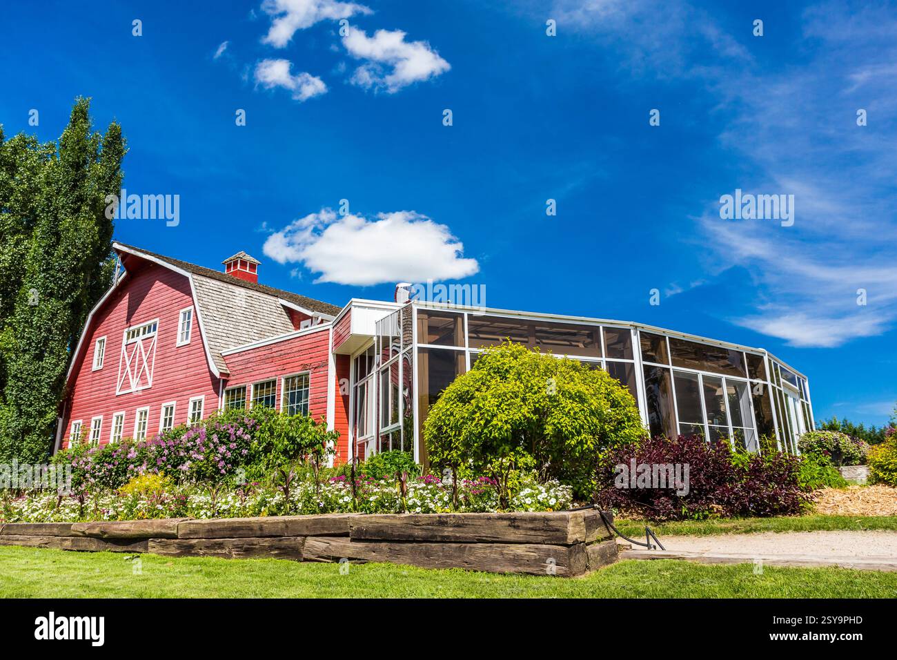 Red barn with a white roof. The barn is surrounded by a garden. The ...