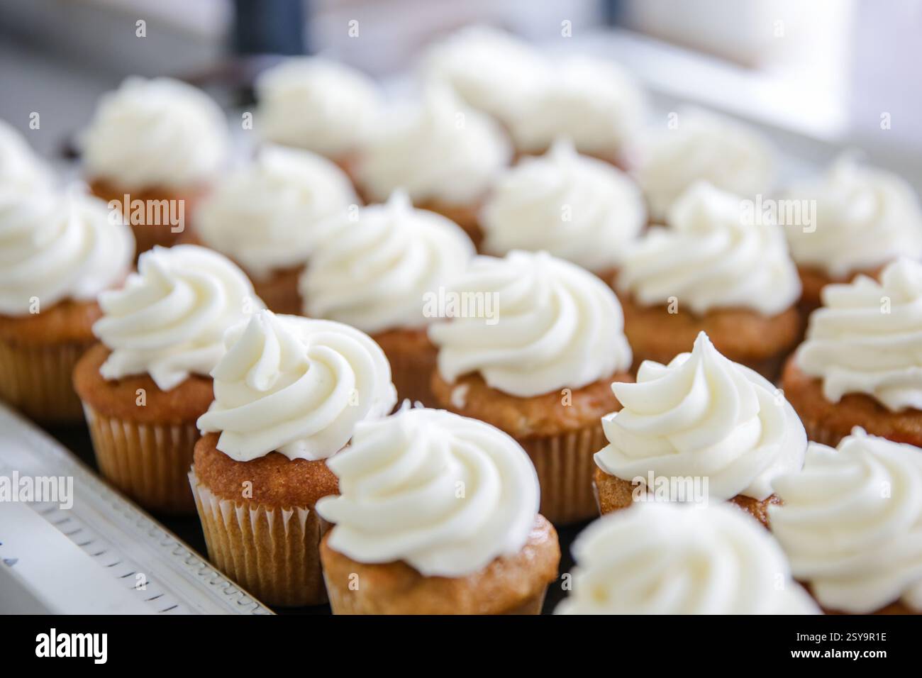 Multiple vanilla frosted buttercream cupcakes taken from 45 degree ...