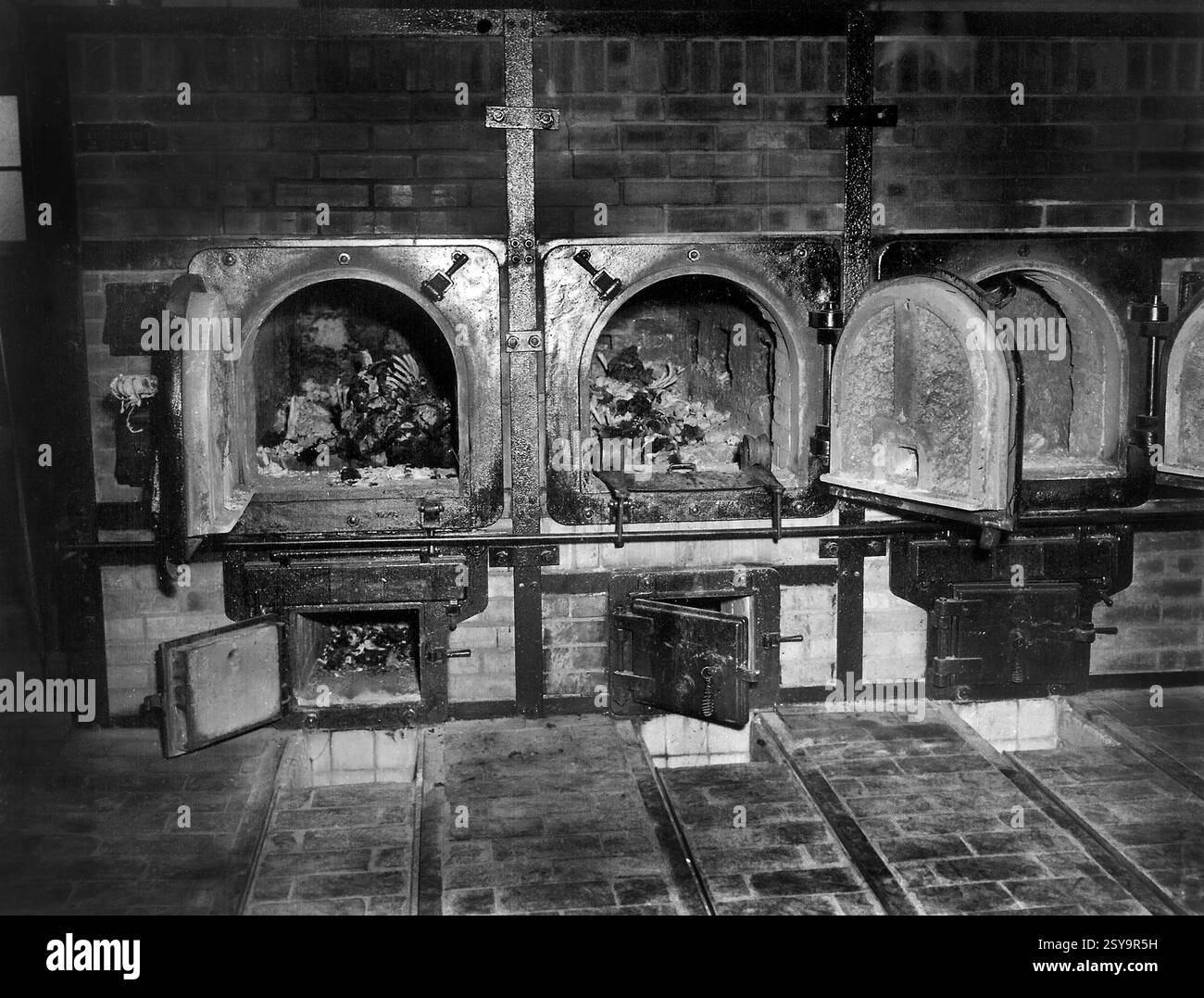Bones of anti-Nazi German women still in crematoriums in Buchenwald ...