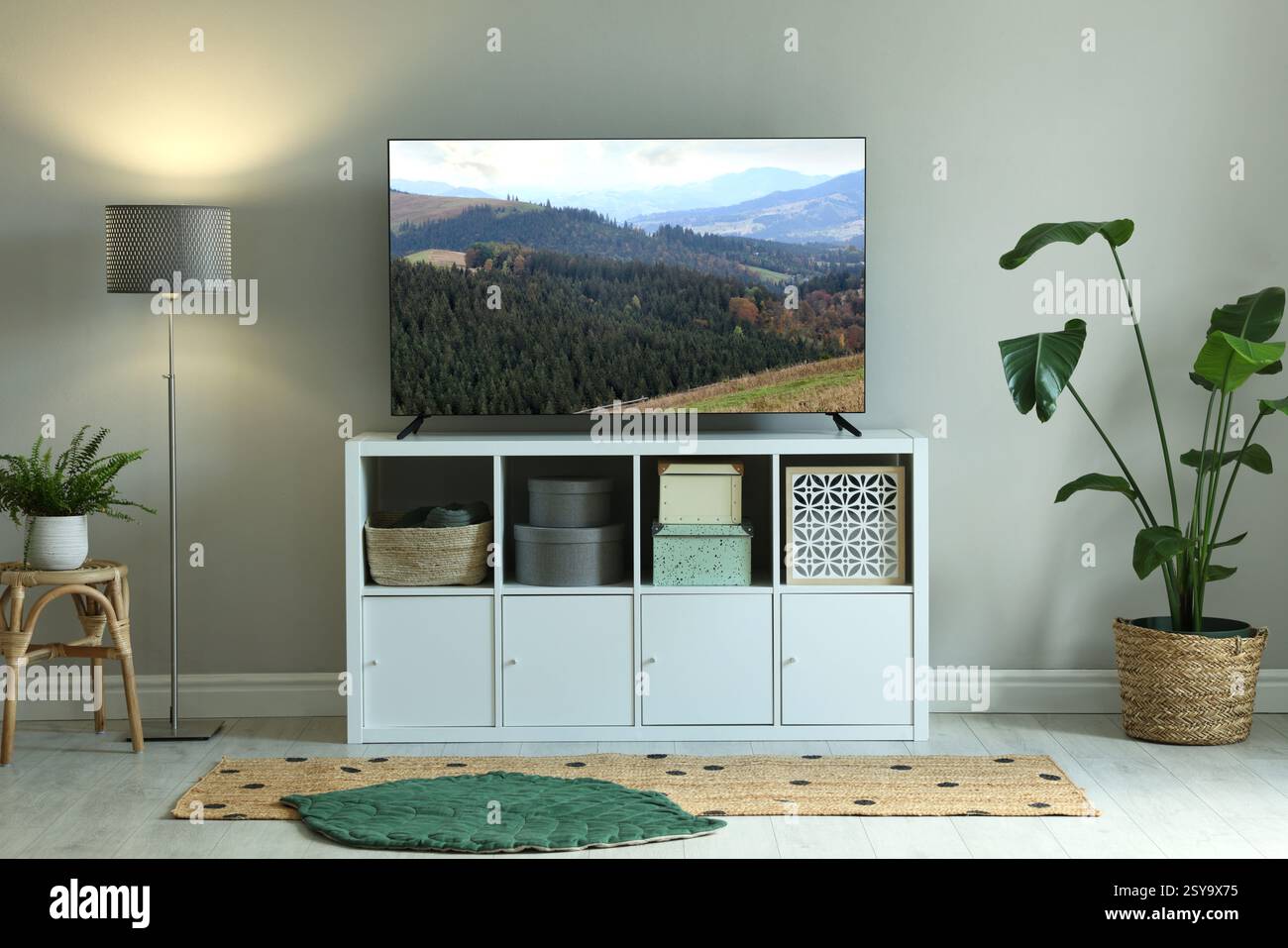 TV set with nature landscape on screen in room Stock Photo - Alamy