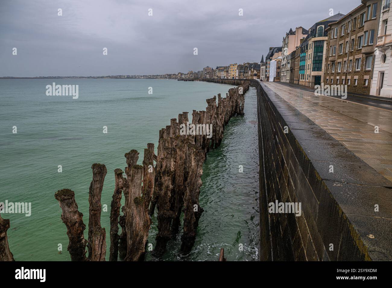 Cut Trees in Front of Saint-Malo in Brittany to Break the Surf, France ...