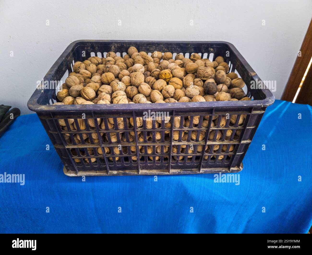 plastic crate full of unpeeled walnuts Stock Photo - Alamy