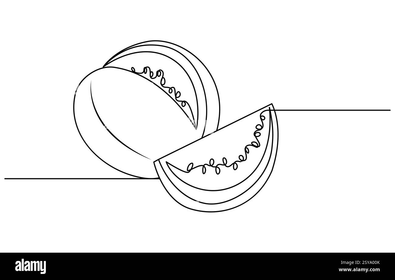 Watermelon one line continuous. Fresh watermelon line art outline Stock ...