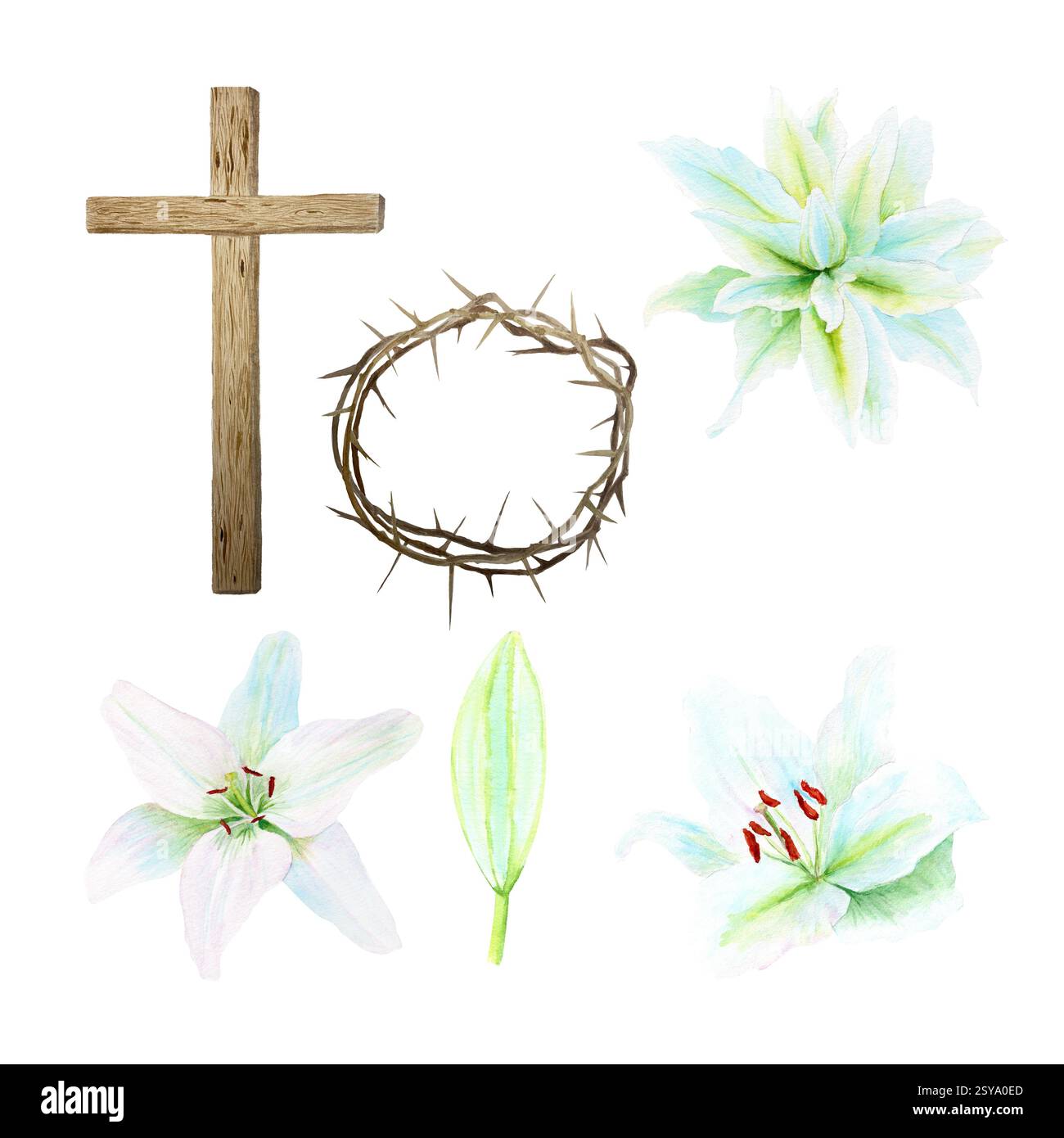 Wooden cross, crown of thorns and lily flowers with a bud watercolor set isolated on white ...