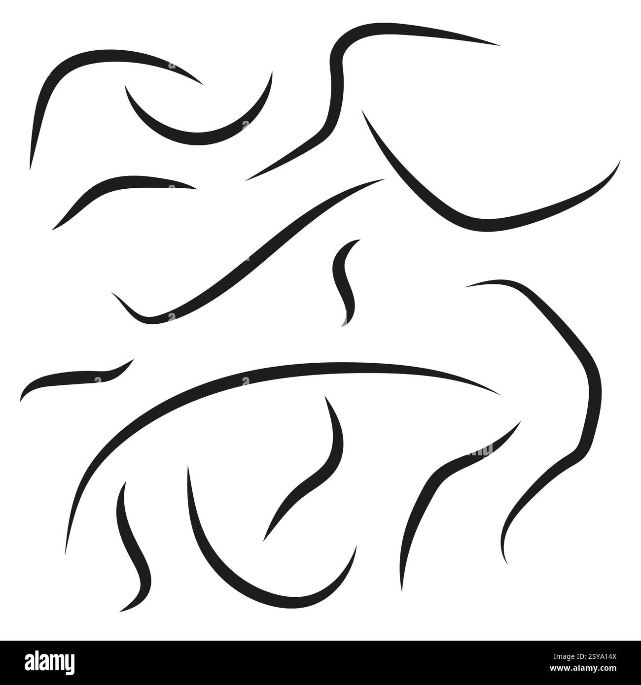 Abstract curved strokes. Dynamic flowing shapes. Artistic black lines ...
