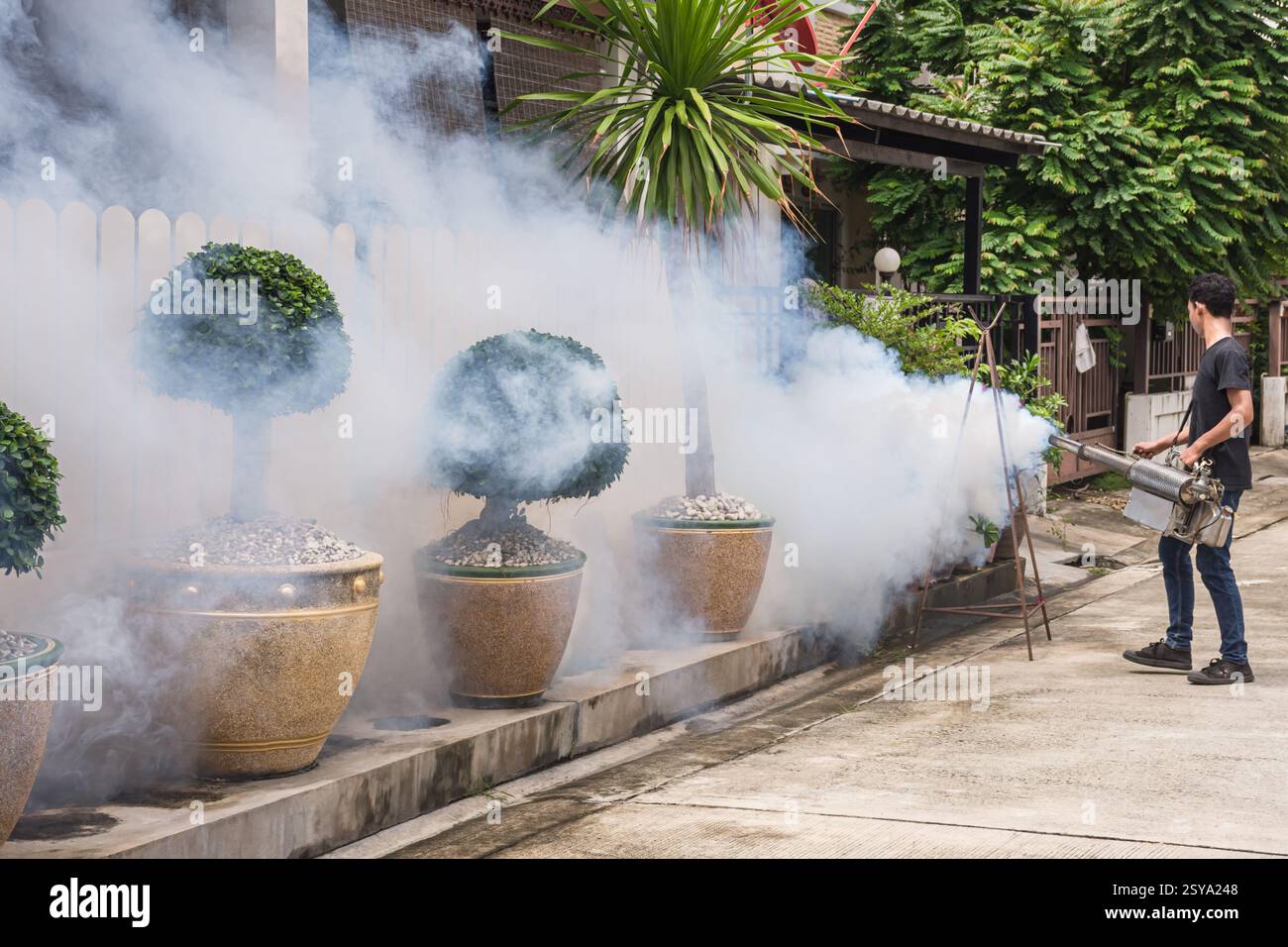 People fogging DDT spray for mosquito kill and protect by control ...