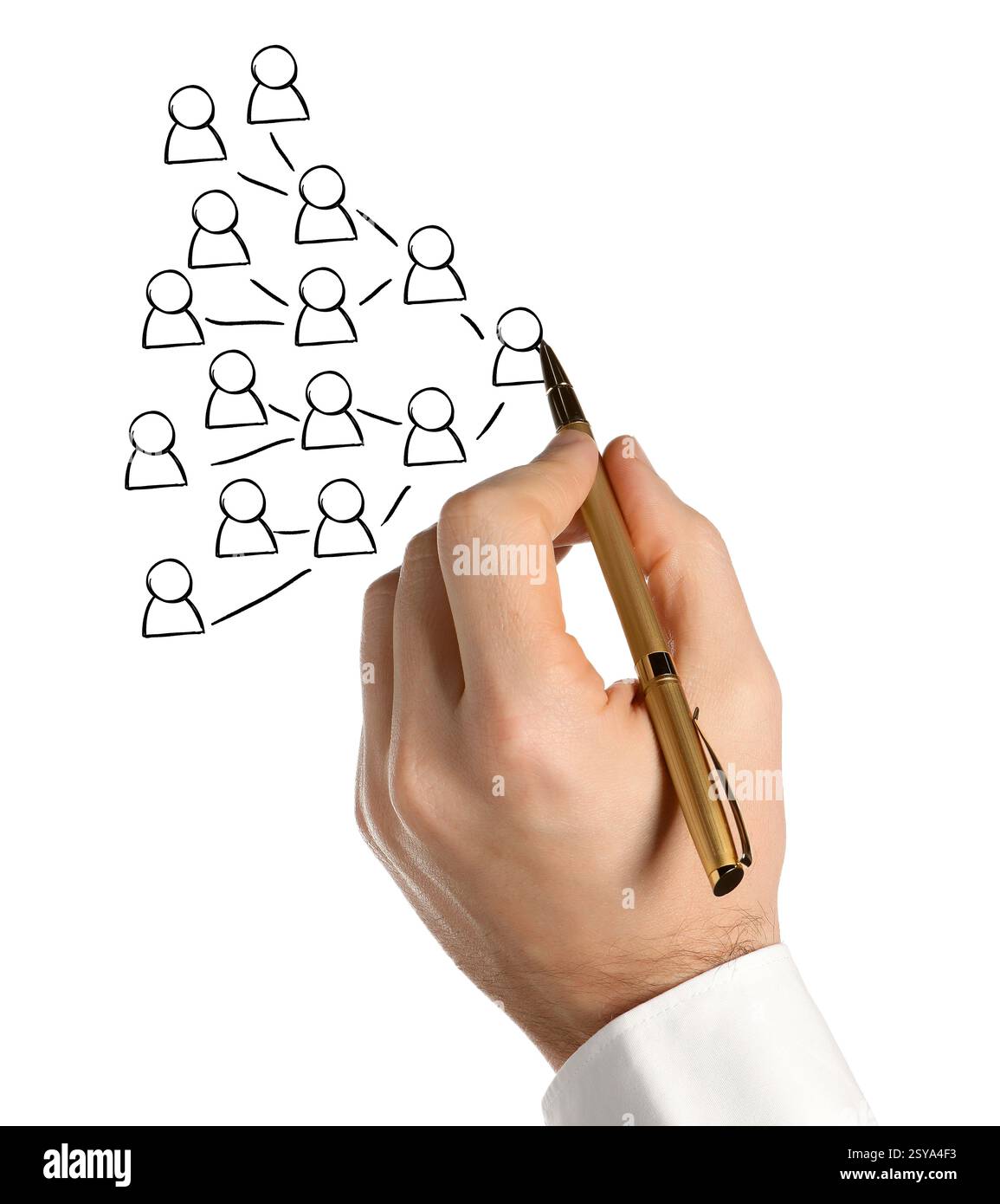 Man drawing family tree on white background. Scheme with human figures ...