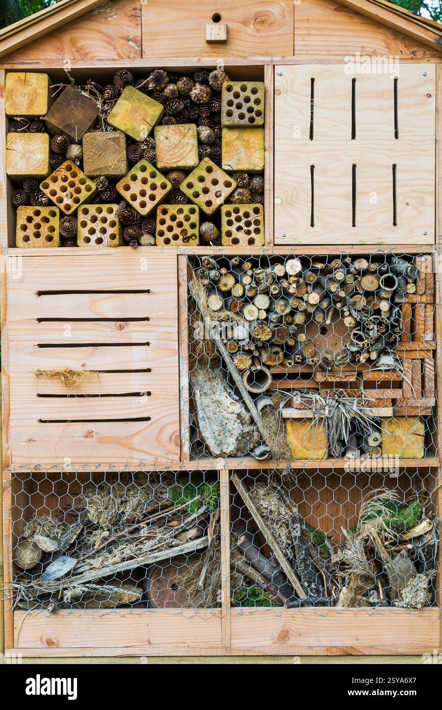 Insect hotel made of cut lumber, plywood, chicken wire, tree branches ...