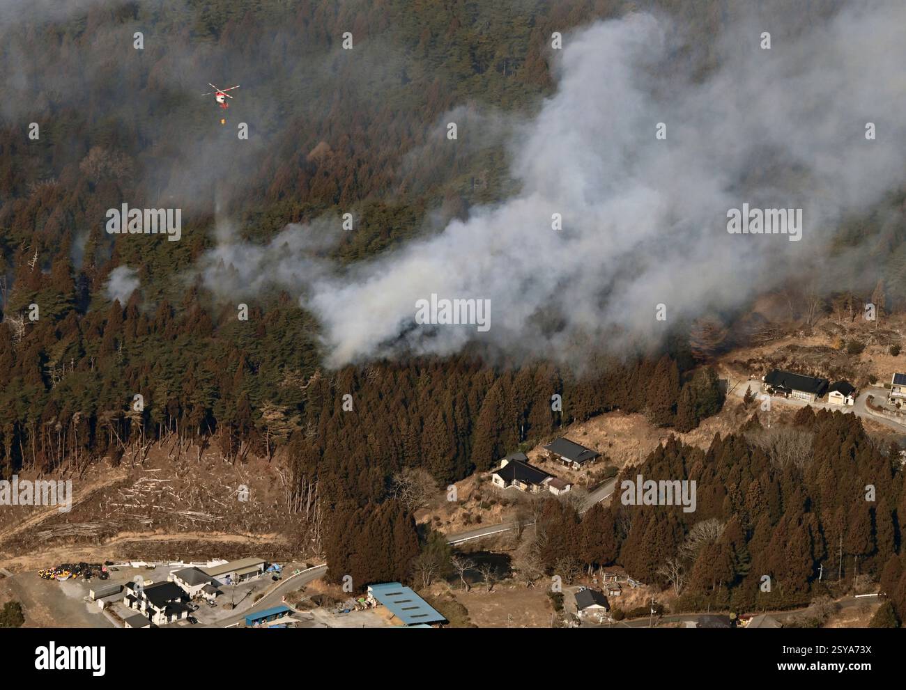 Aerial photo shows forest fire, that broke out on the 26th continues to ...