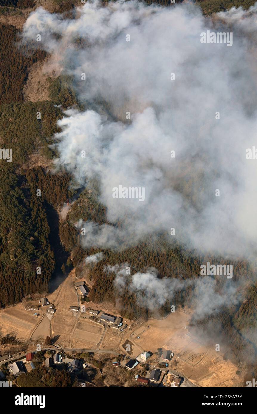 Aerial photo shows forest fire, that broke out on the 26th continues to ...