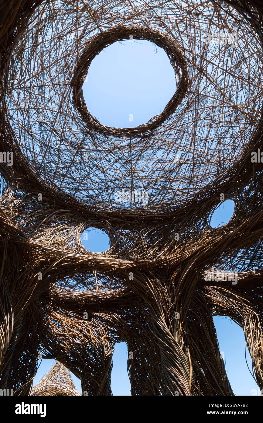 Weaved primitive tall Salix - Willow tree shelter sculpture exhibition ...