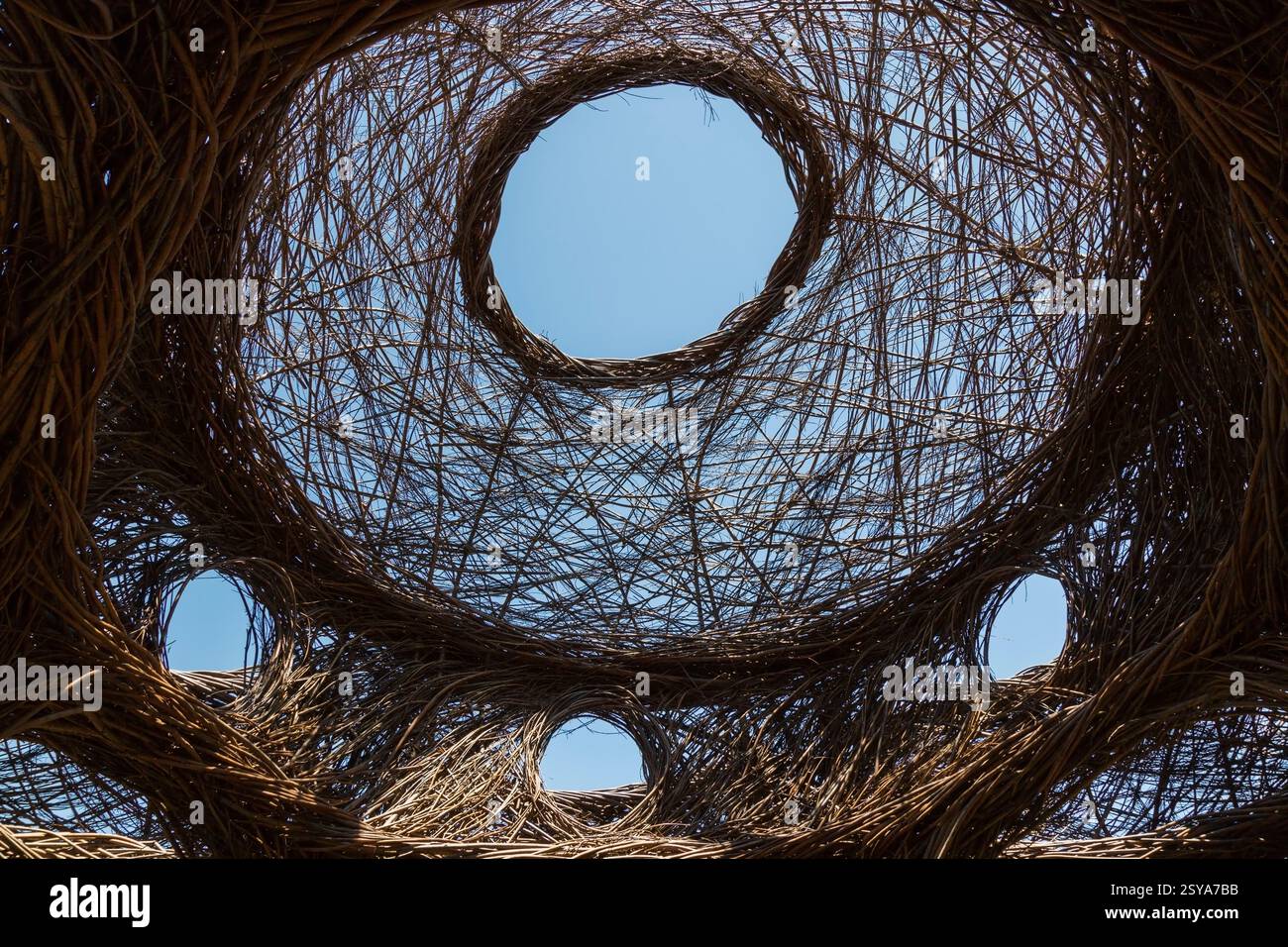 Weaved primitive tall Salix - Willow tree shelter sculpture exhibition ...