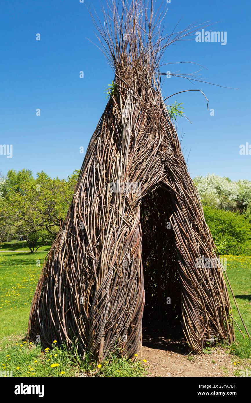 Primitive tent shaped Salix - Willow tree shelter sculpture exhibition ...