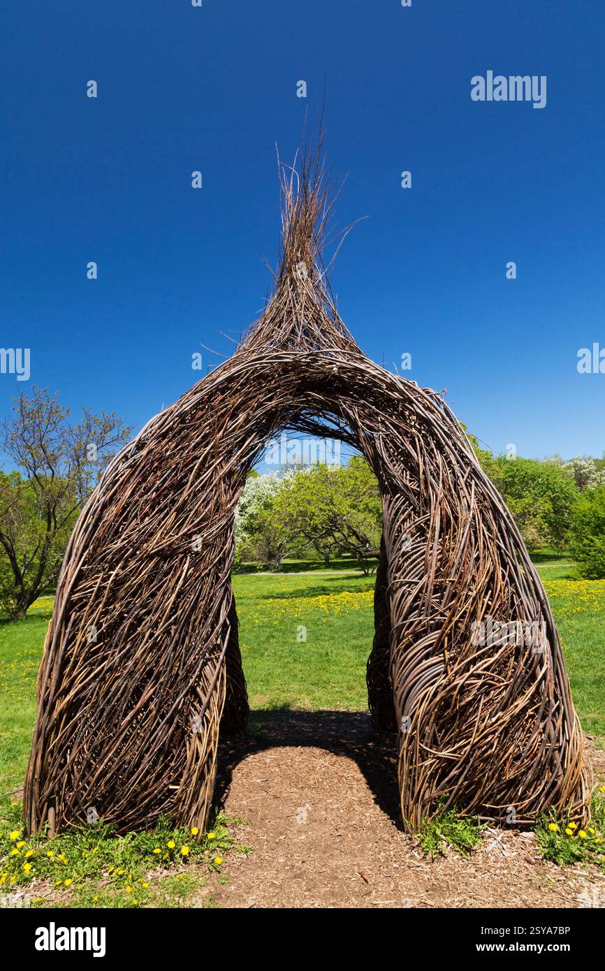 Primitive tent shaped Salix - Willow tree arbour sculpture exhibition ...