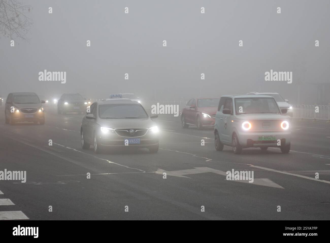 QINGDAO, CHINA - FEBRUARY 28, 2025 - Vehicles travel in heavy fog in ...