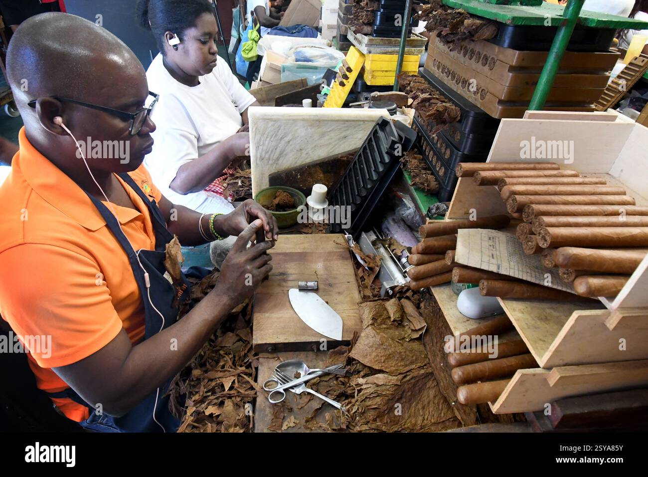 Havana, Cuba. 27th Feb, 2025. Workers craft cigars at the La Corona ...