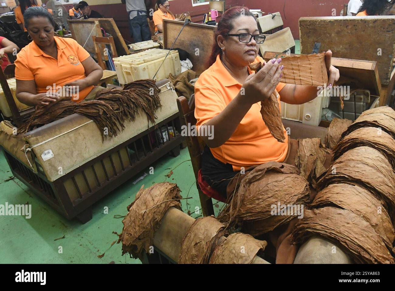 Havana, Cuba. 27th Feb, 2025. Workers craft cigars at the La Corona ...