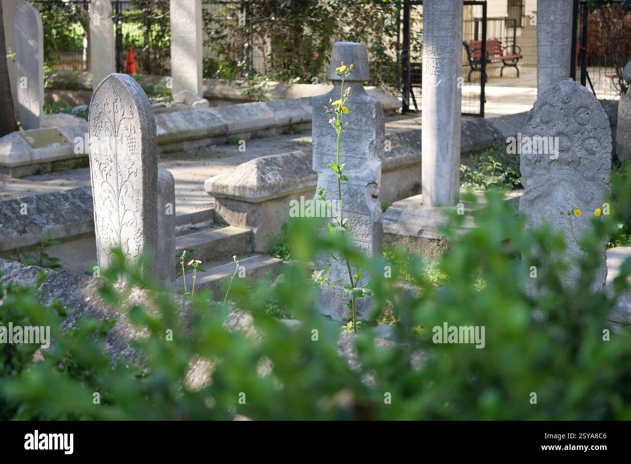 turkey istanbul 23 october 2024 Historic cemetery with intricate stone ...