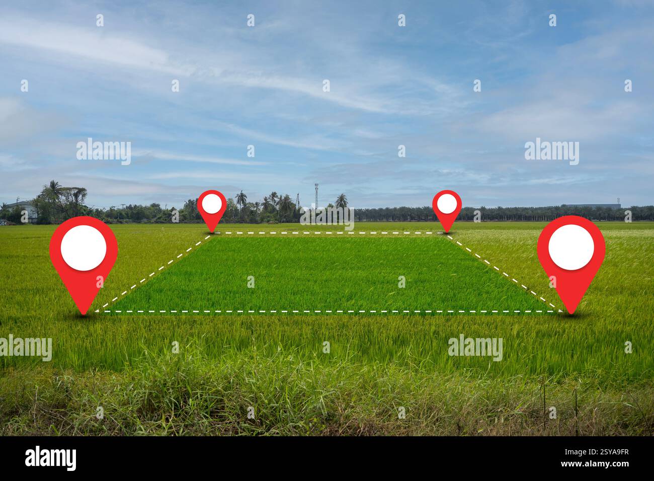 Land plot management - real estate concept with a vacant land on a ...