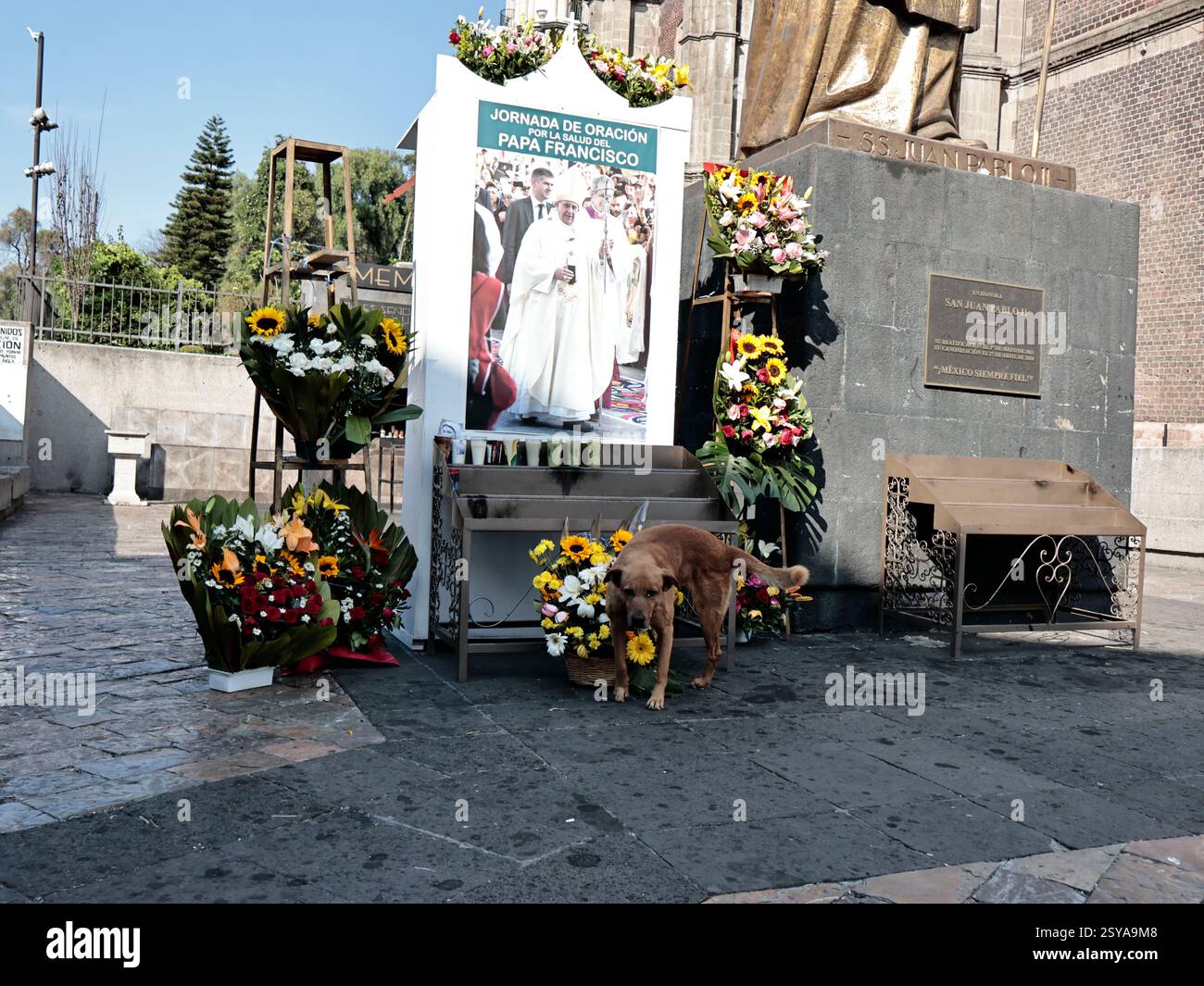 February 27, 2025, Mexico City, Cdmx, Mexico: Inside the Basilica of ...