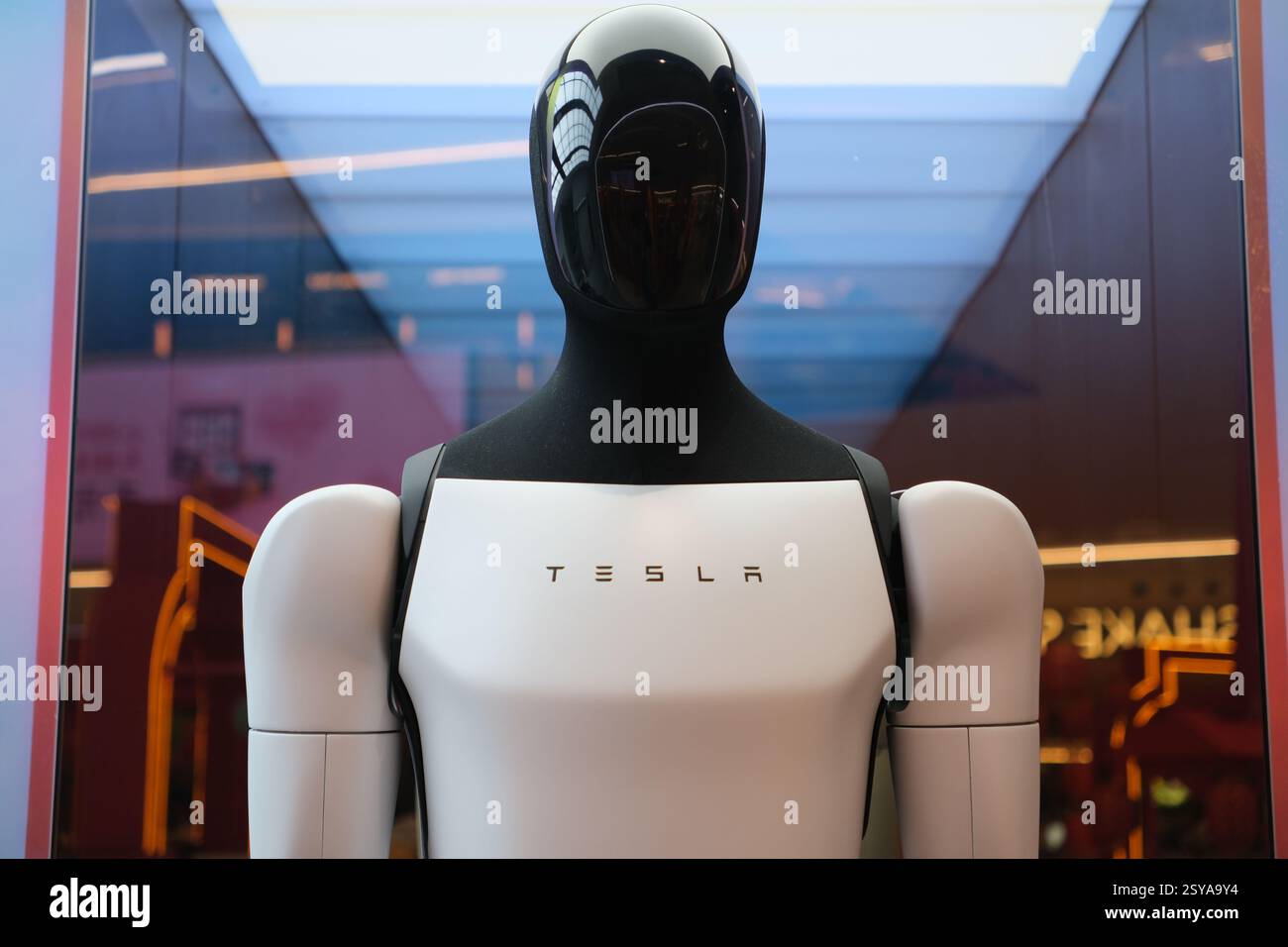 Shanghai,China-Feb.15th 2025: Tesla robot (Tesla bot) Optimus with ...