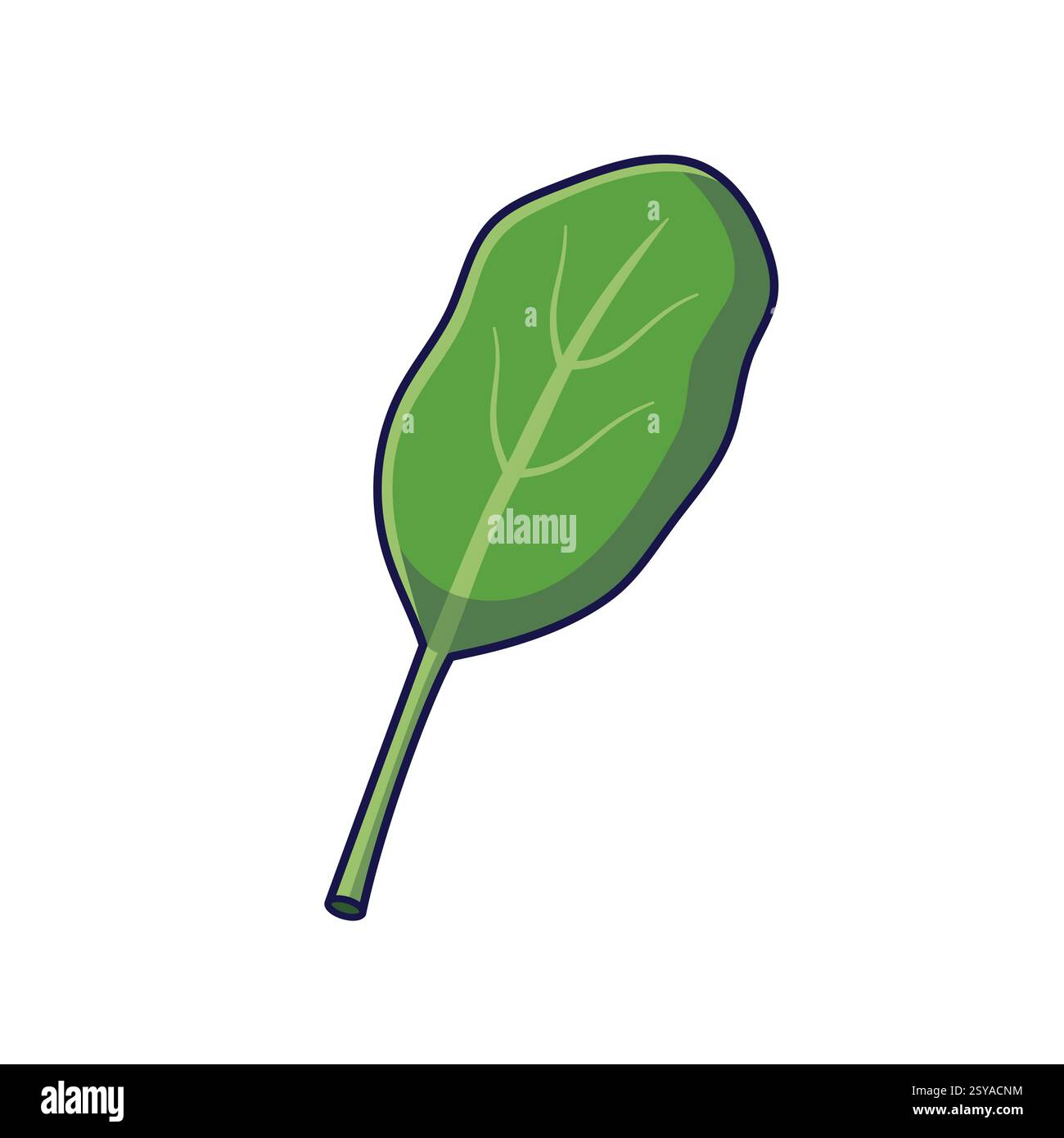 Fresh herbs concept. Cute spinach leaf. Vector cartoon icon ...